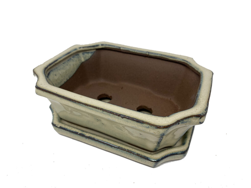 Rectangular Ceramic Bonsai Pot with Drip Tray in Cream - 15.5cm - Bonsai2U