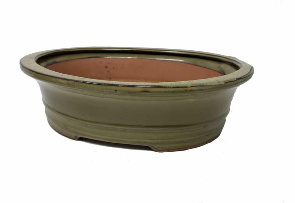 Bonsai Pots - A Range of Colours and Sizes | Bonsai2U