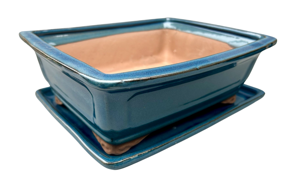 Rectangular Ceramic Bonsai Pot With Drip Tray in Blue – 26.5cm - Bonsai2U